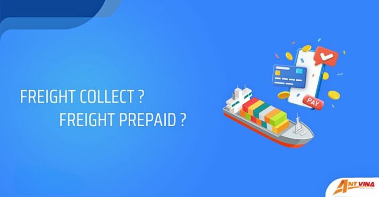 Phân Biệt Giữa Freight Prepaid Và Freight Collect » ANT VINA Logistics